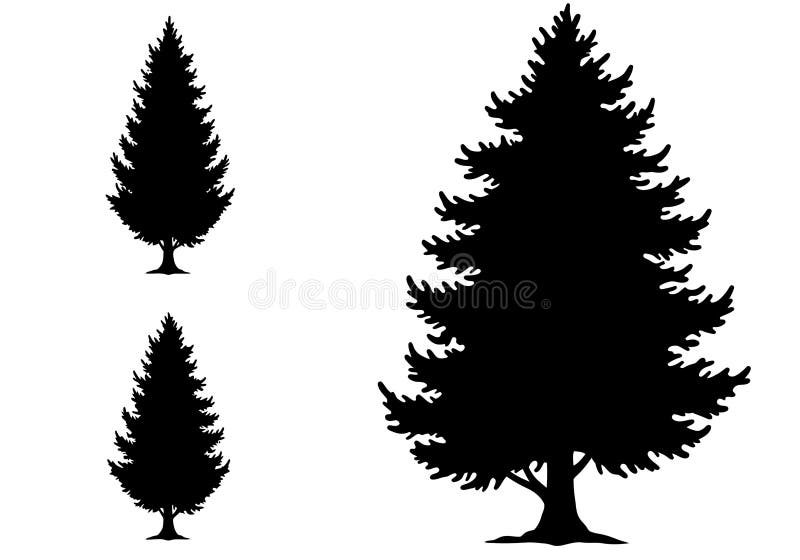Cypress tree silhouette stock vector. Illustration of cypress - 378943107