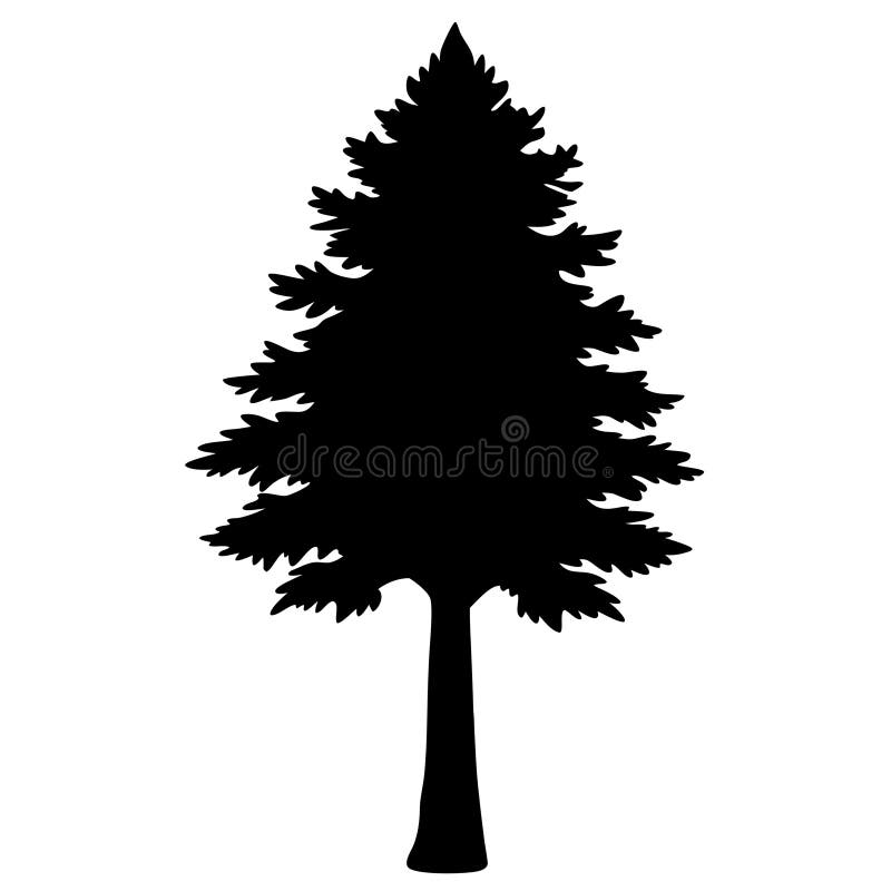 Cypress Tree silhouette stock vector. Illustration of black - 337813656