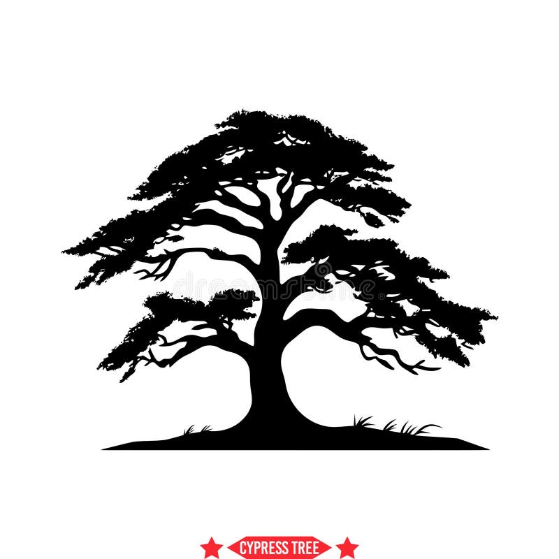 Cypress Tree Vector Stock Illustrations – 4,242 Cypress Tree Vector ...