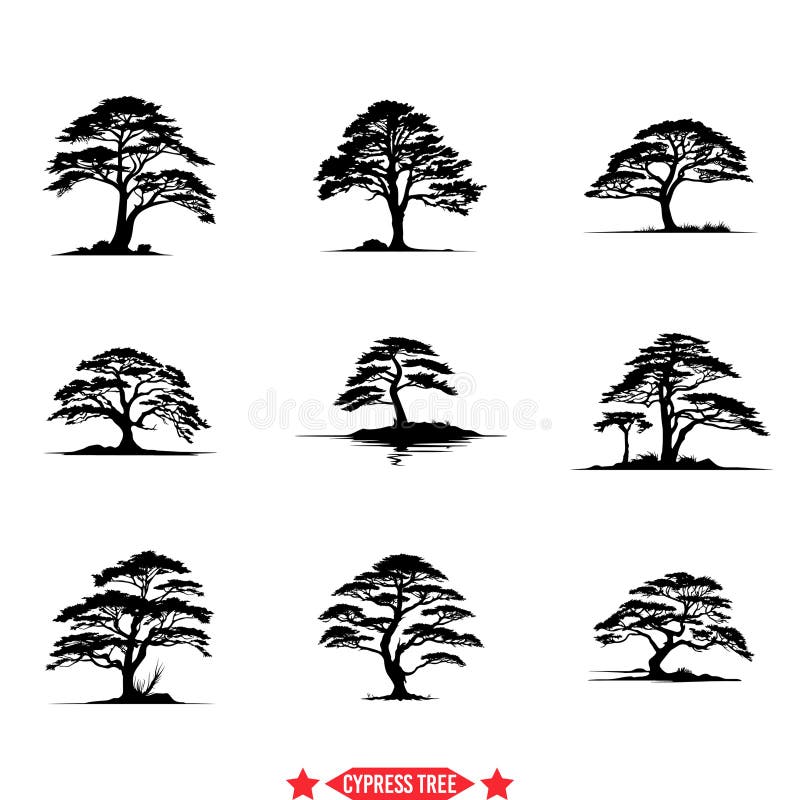Cypress Tree Vector Stock Illustrations – 4,242 Cypress Tree Vector ...