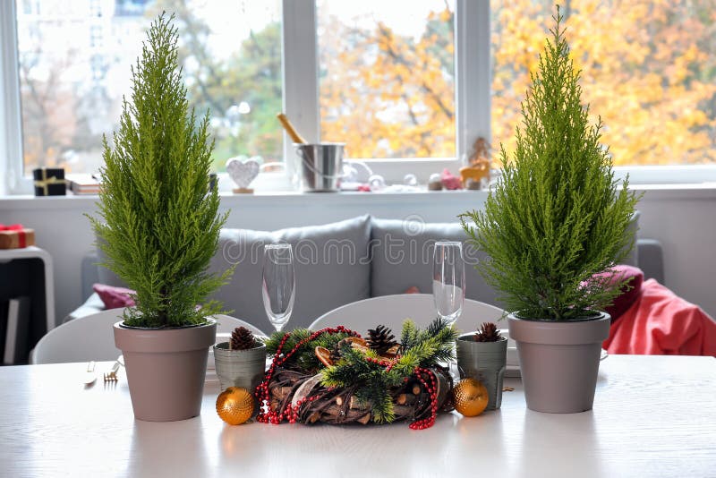 Cypress Trees and Christmas Decorations on Table in Room Stock Photo ...