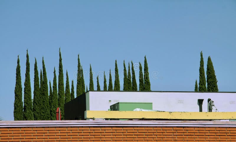 Cypress Trees in a Range Behind a Building Stock Image - Image of ...