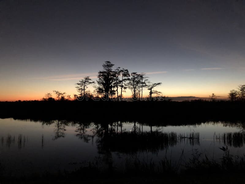 Cypress Trees in the Swamps at Sunset Stock Image - Image of reflexion ...