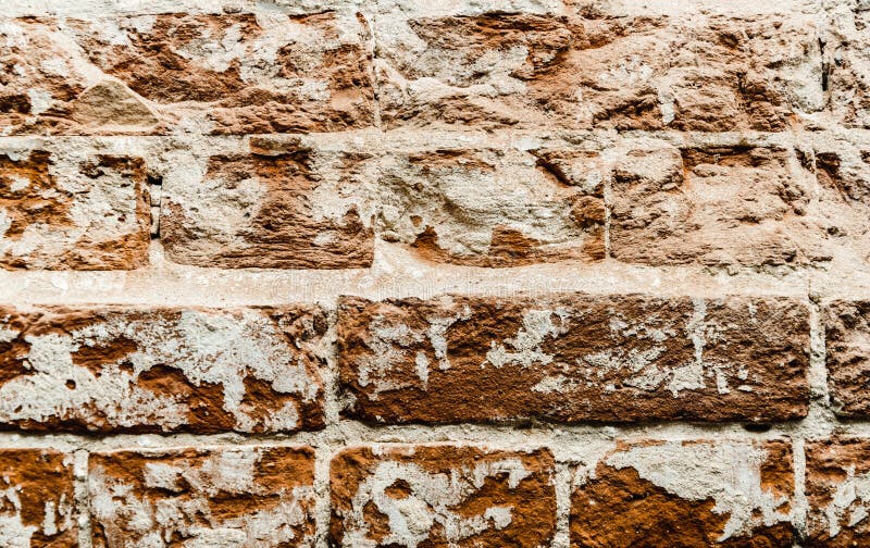 Cypress Wall Texture Pattern Red Cypress Blocks, Close-up, Old ...