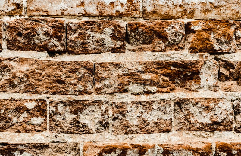 Cypress Wall Texture Pattern Red Cypress Blocks, Close-up, Old ...
