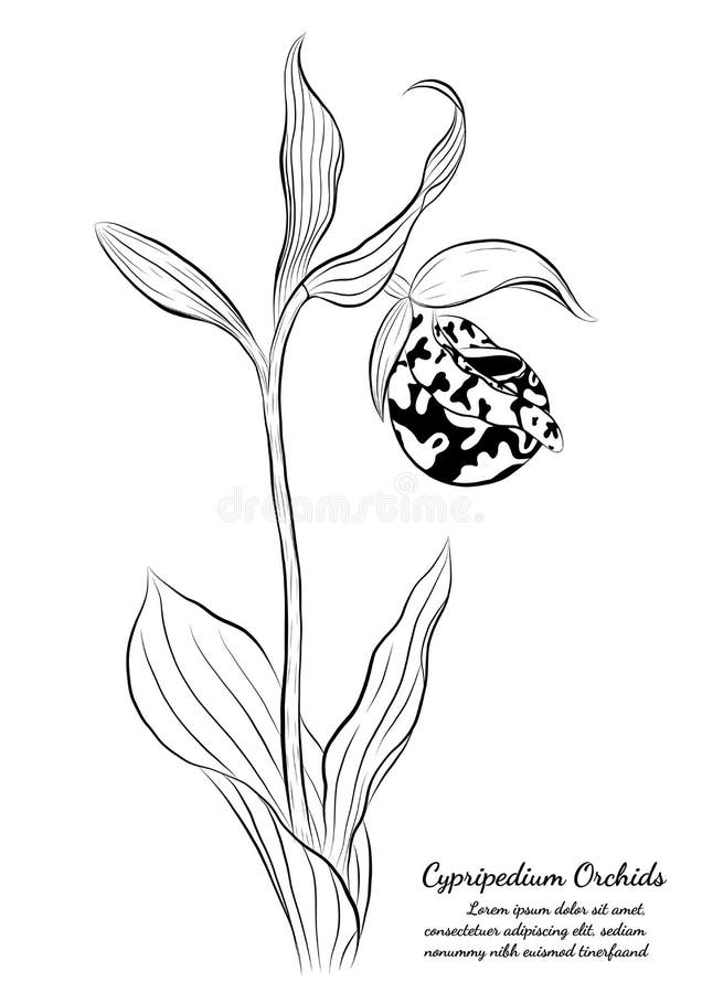 Tree Zentangle in Happy Halloween Stock Vector - Illustration of autumn ...