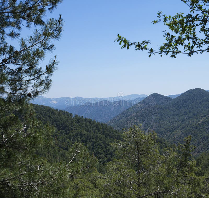 Cyprus Mountains Covered with Forest Stock Photo - Image of nature ...