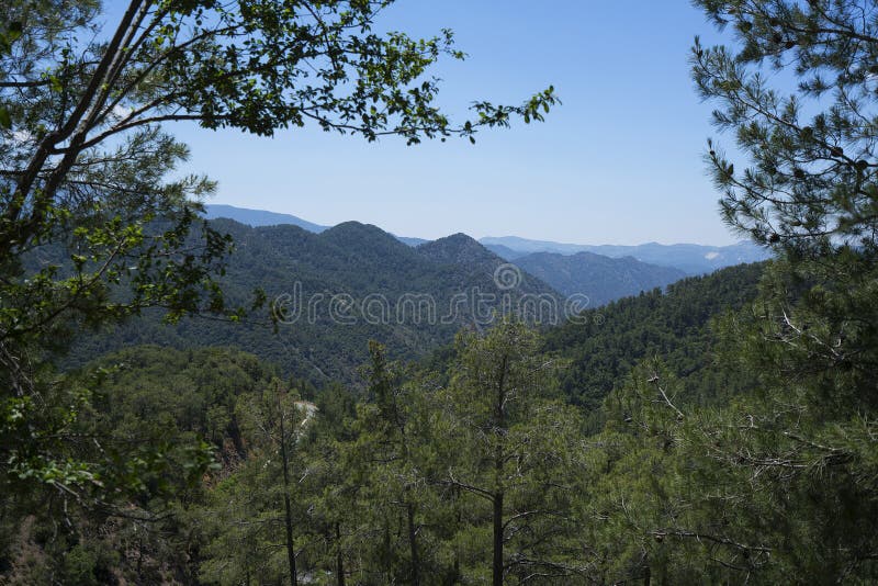 Cyprus Mountains Covered with Forest Stock Photo - Image of nature ...
