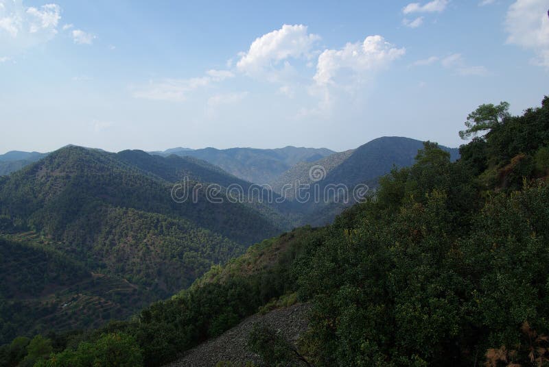 Evninig Stock Photos - Free & Royalty-Free Stock Photos from Dreamstime