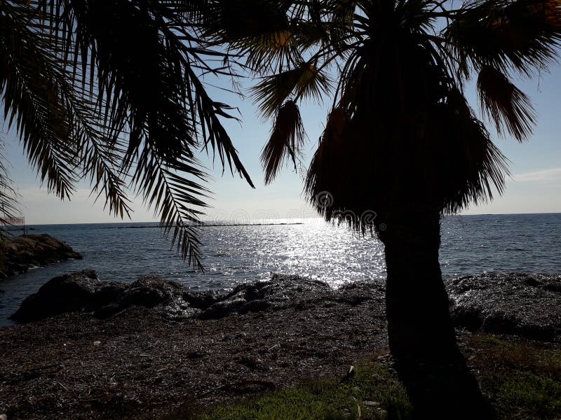 Cyprus Paphos winter 2022 stock image. Image of night - 240202361