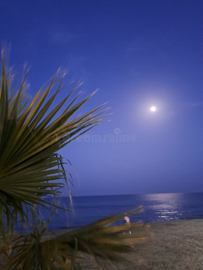 1,779 Cyprus Sky Night Stock Photos - Free & Royalty-Free Stock Photos ...