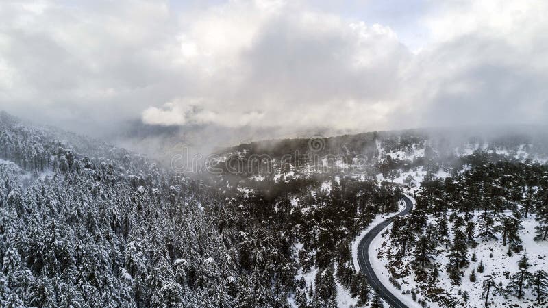 Winter Landscape Troodos Mountains, Cyprus Stock Photo - Image of ...