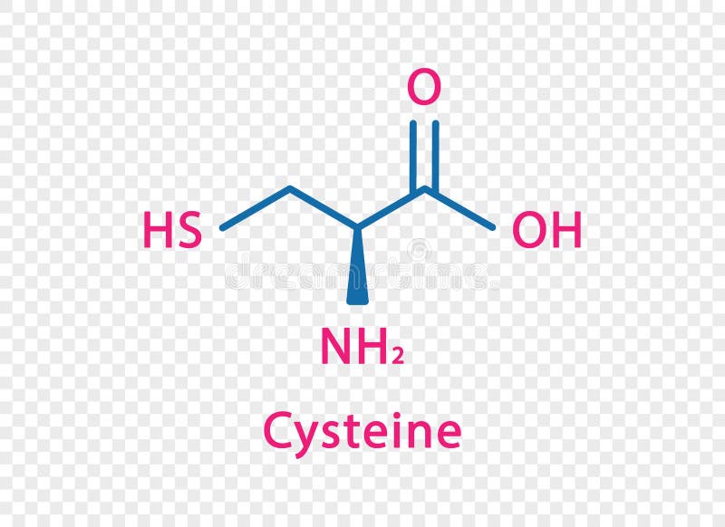 Cysteine Chemical Formula. Cysteine Structural Chemical Formula ...