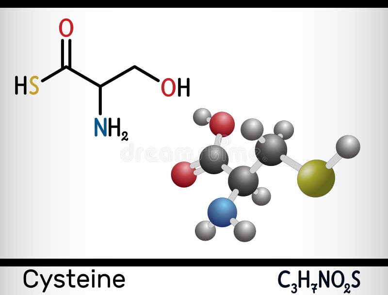 Cysteine L-cysteine, Cys, C Proteinogenic Amino Acid Molecule ...