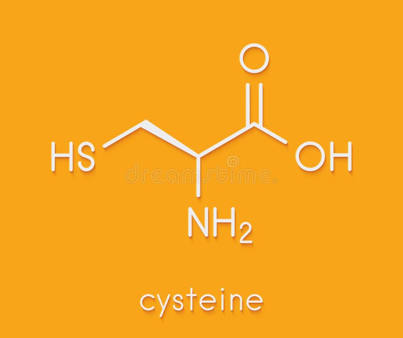 Cysteine Stock Illustrations – 196 Cysteine Stock Illustrations ...