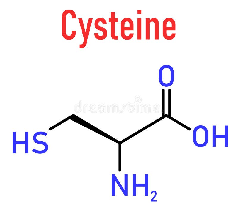 Cysteine or L-cysteine, Cys, C, Amino Acid Molecule. Skeletal Formula ...