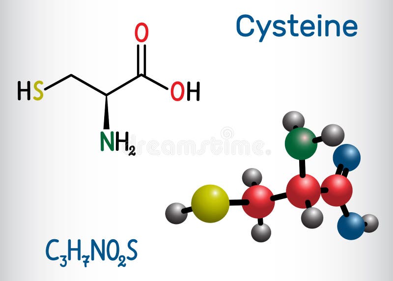 Cysteine L-cysteine, Cys, C Proteinogenic Amino Acid Molecule ...