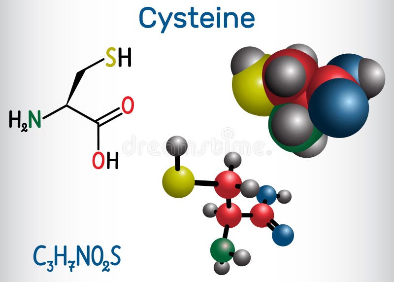 Cysteine L-Cysteine, Cys, Proteinogenic Het Aminozuurmolecule Van C ...