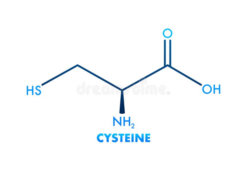 Cysteine Molecular Skeletal Chemical Formula. 3d Icon with Cysteine ...