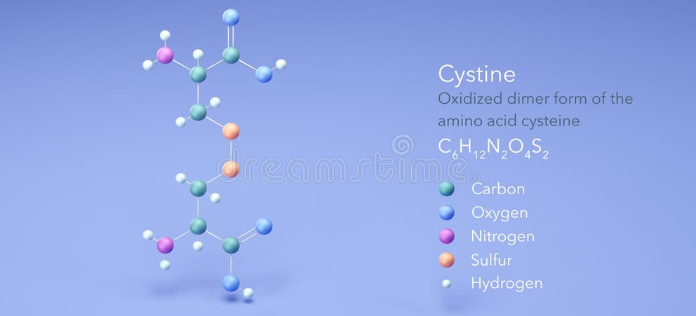 Cystine, Molecular Structures, 3d Model, Structural Chemical Formula ...