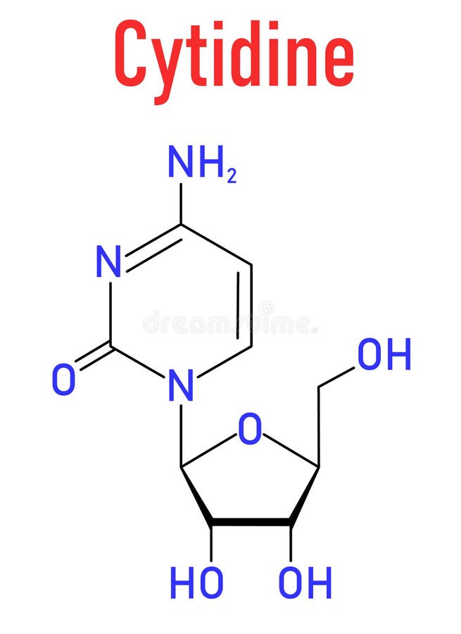 Cytidine Vs Cytosine