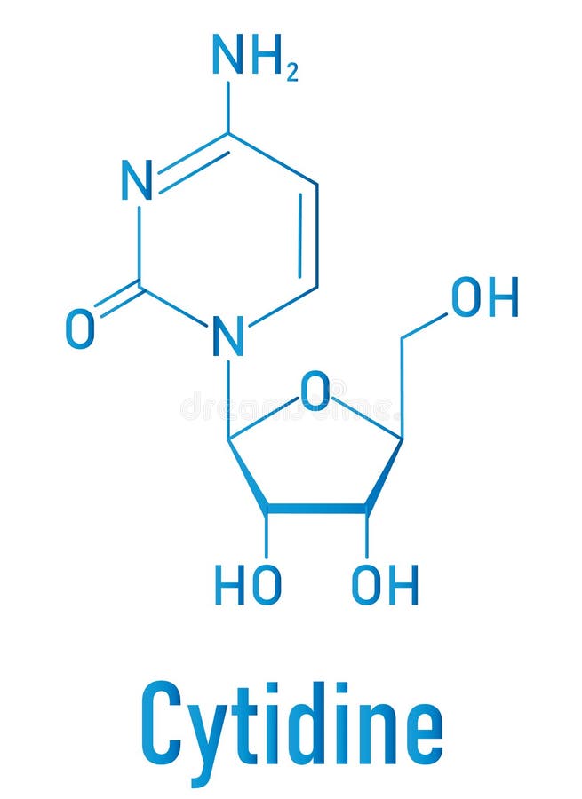 Cytidine RNA Building Block Molecule. Skeletal Formula Stock Vector ...