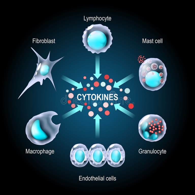 Cytokines Stock Illustrations – 355 Cytokines Stock Illustrations ... Cytokines Stock Illustrations – 355 Cytokines Stock Illustrations ...