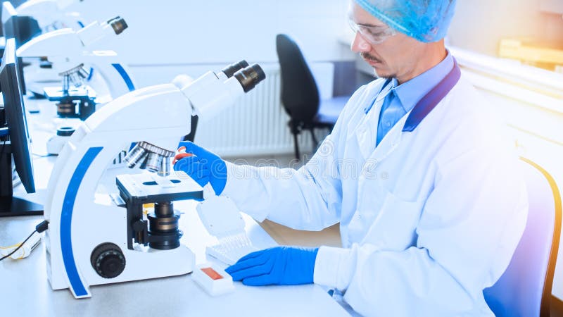 Cytological and Morphological Examination in the Laboratory Stock Image ...