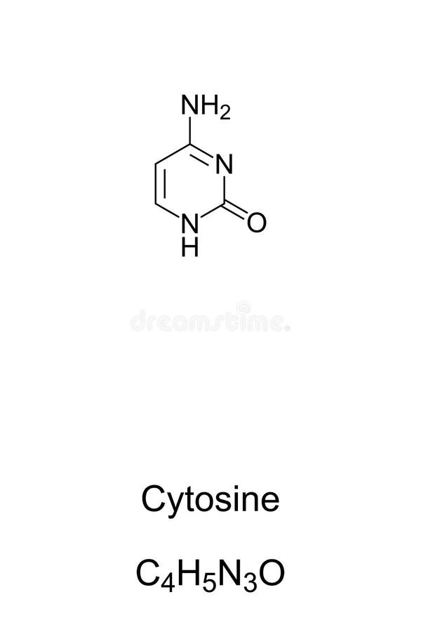 Cytosine chemical formula stock vector. Illustration of biology - 150250698