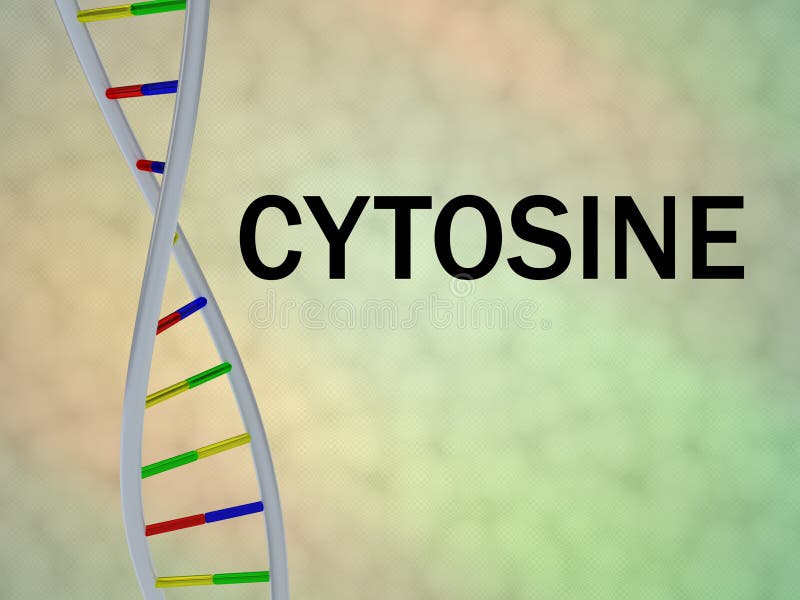 CYTOSINE - genetic concept stock illustration. Illustration of ...