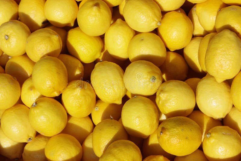 Cytryny obraz stock. Obraz złożonej z voraciousness, deliciouses - 10489619