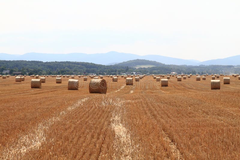 Czech autumn in Beskydy stock photo. Image of beskydy - 118446282