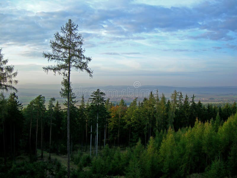 Czech forest stock image. Image of town, summer, czech - 3956583