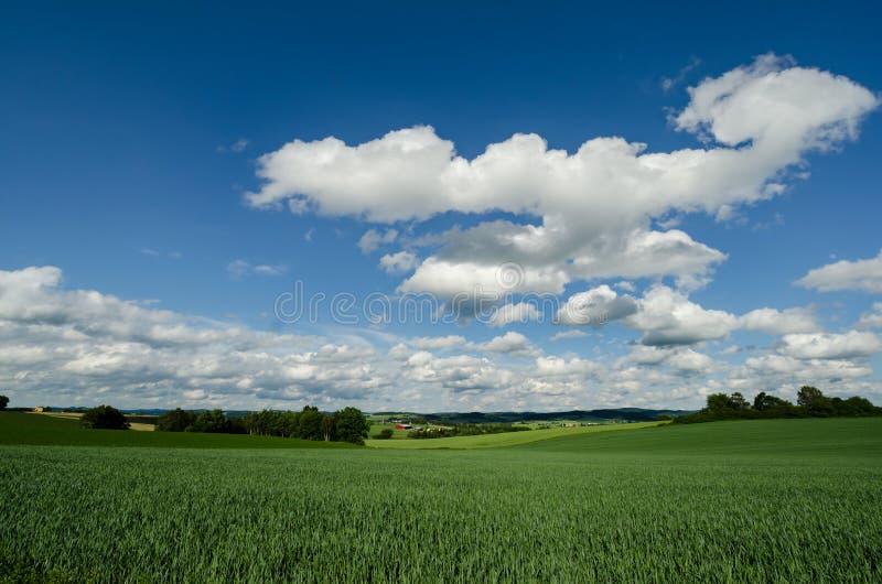Czech landscape with field stock photo. Image of blue - 73703448