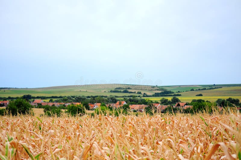 Czech rural landscape stock image. Image of gray, brick - 26447531