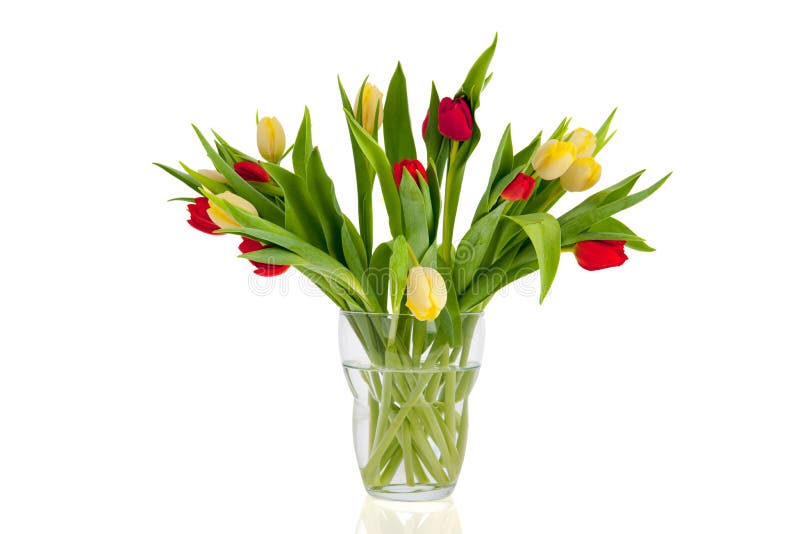 Czerwoni i biali tulipany zdjęcie stock. Obraz złożonej z wiosna - 37809582