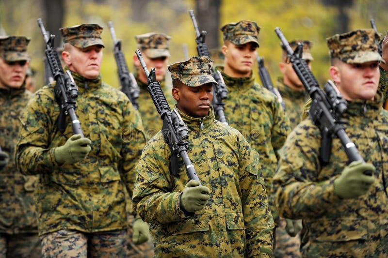 Militaires Des USA Saluant Les Personnes Image stock éditorial - Image ...