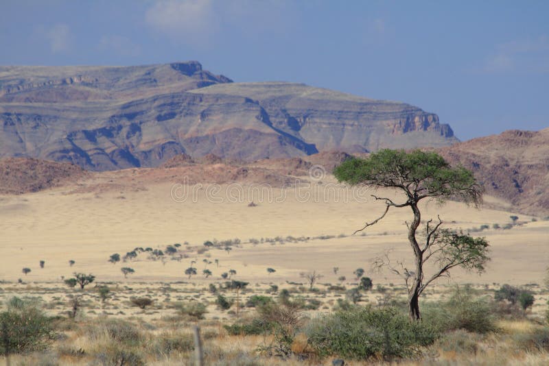 Désert Sec De Paysage Namibien Image stock - Image of désert, namibie ...