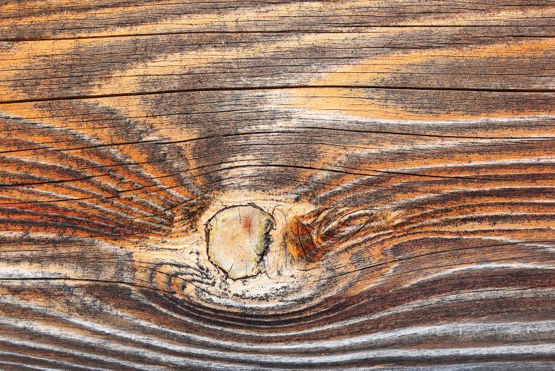 Texture Normale En Bois De Sapin Photo stock - Image du blanc ...