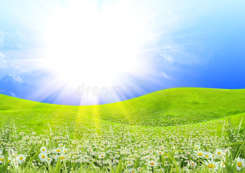 Día asoleado del verano imagen de archivo. Imagen de floral - 20325101