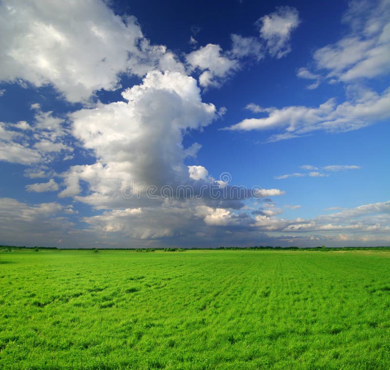 Día Asoleado Hermoso En Campo Foto de archivo - Imagen de verde, prado ...
