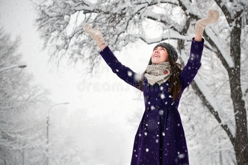 Día Nevado foto de archivo. Imagen de diciembre, belleza - 17551640