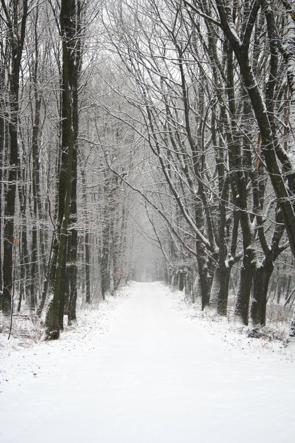 Día nevado imagen de archivo. Imagen de extremo, puro - 7975999