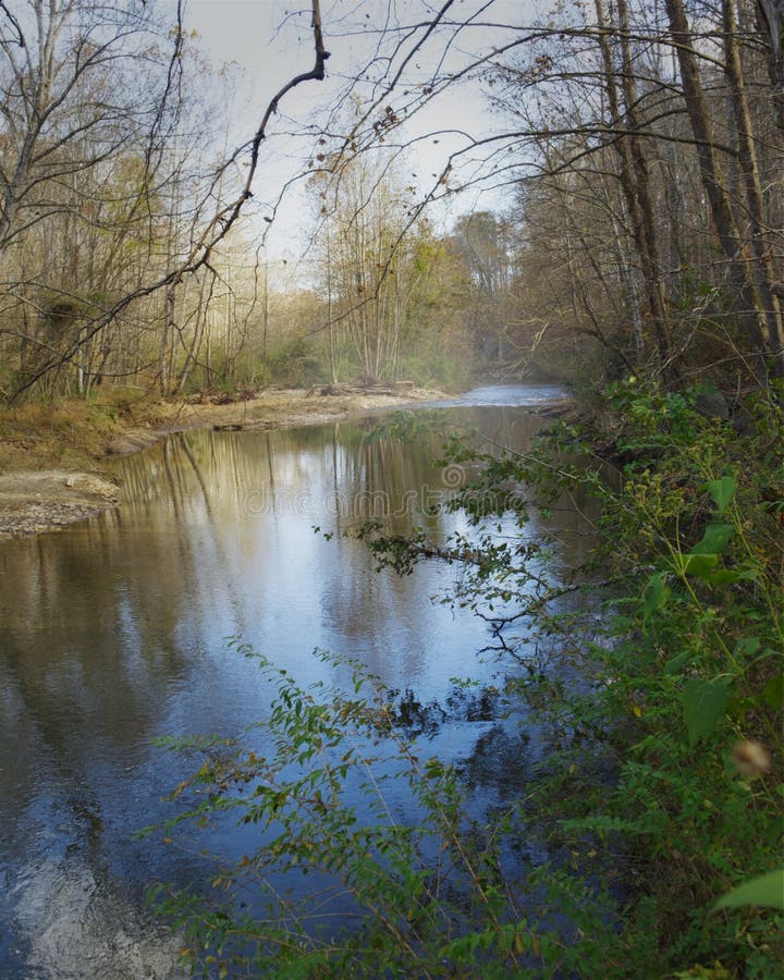 Gentle River Flows through Autumnal Forest Stock Photo - Image of ...