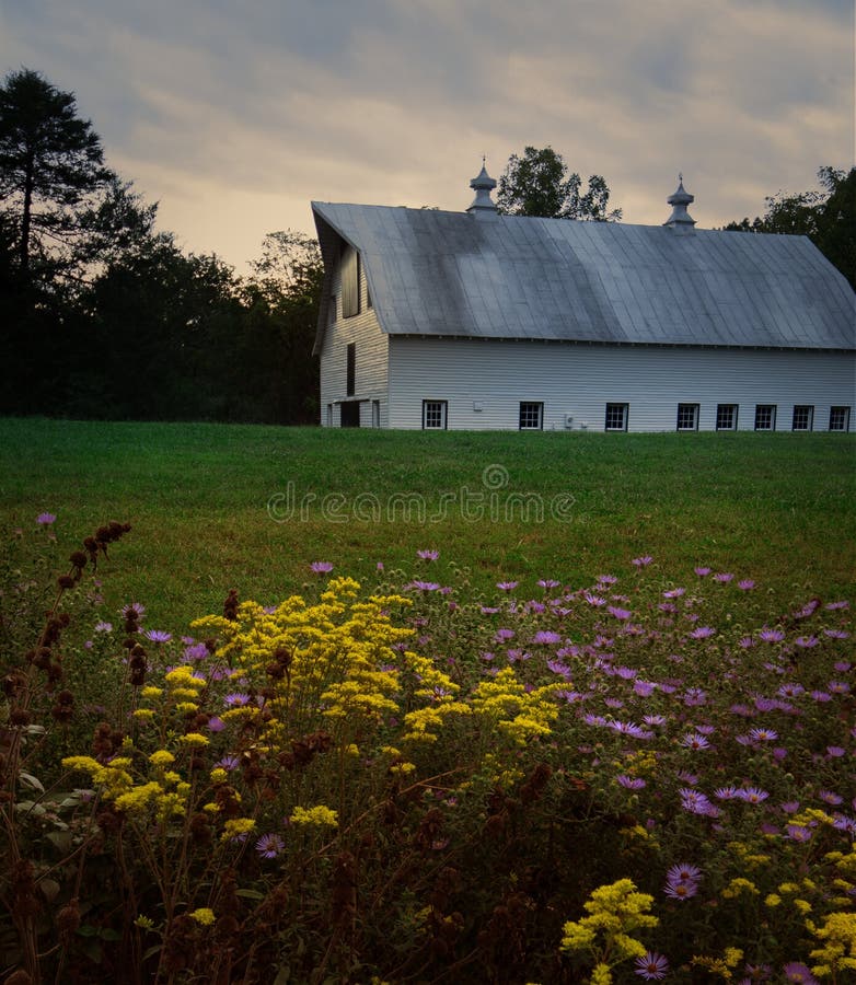 1,912 Old Dairy Barn Stock Photos - Free & Royalty-Free Stock Photos ...