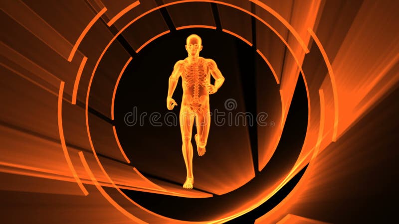 3D Animation of Adult Male X-ray with Seamless Loop. Stock Footage ...
