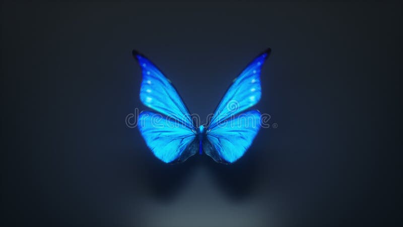 3d Animation of a Beautiful Blue Colored Butterfly Stock Video - Video ...