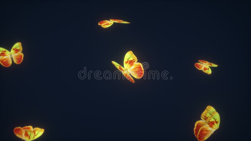 3d Animation of a Beautiful Butterflies Background Stock Footage ...