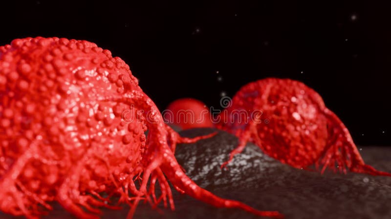 A 3D Cancer Cells with a Characteristic of Malignancy. Stock Video ...