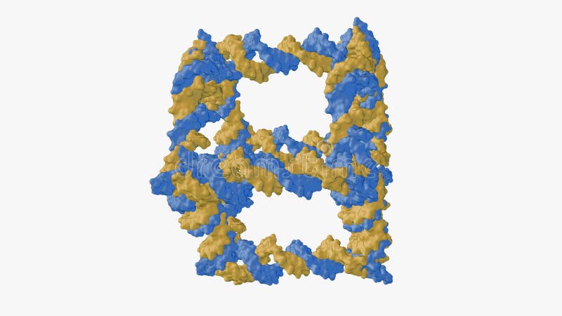 3d Animation of DNA Cube on the White Background Stock Footage - Video ...